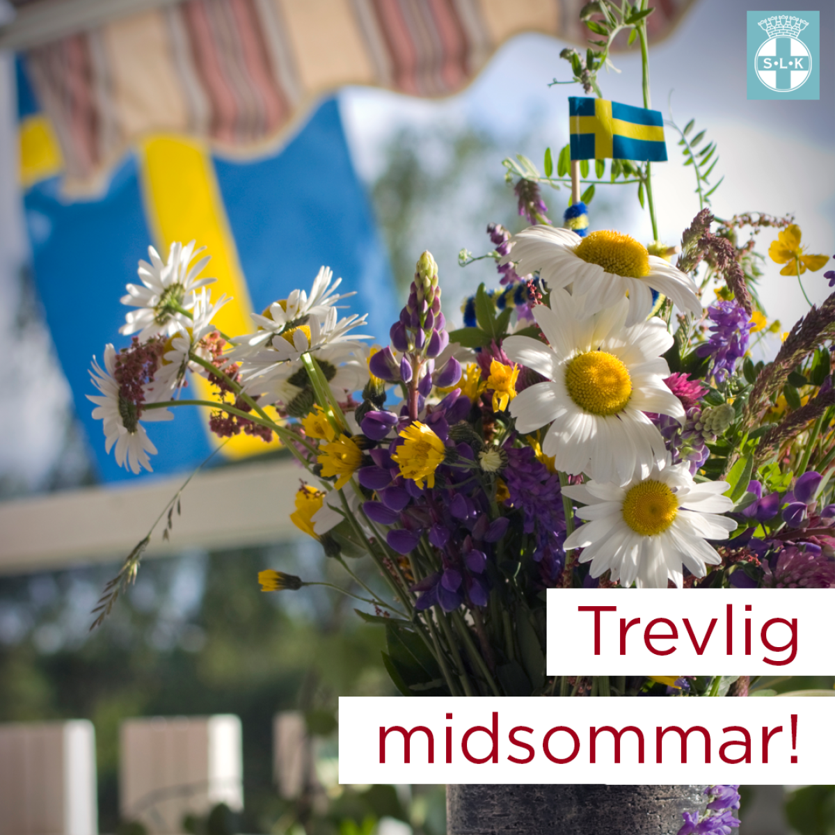 Borås lottakår önskar alla och en var en fin midsommar! | Svenska ...
